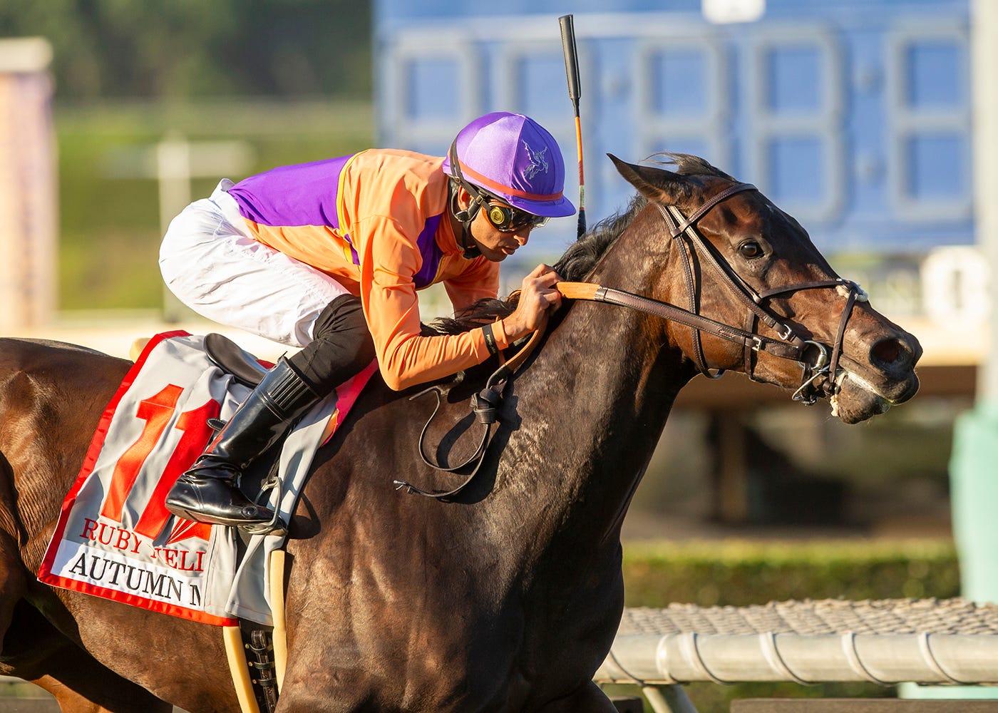 Ruby Nell shrugs off stumble at start en route to Autumn Miss Stakes triumph